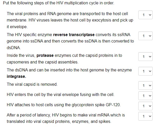 Solved Put the following steps of the HIV multiplication | Chegg.com