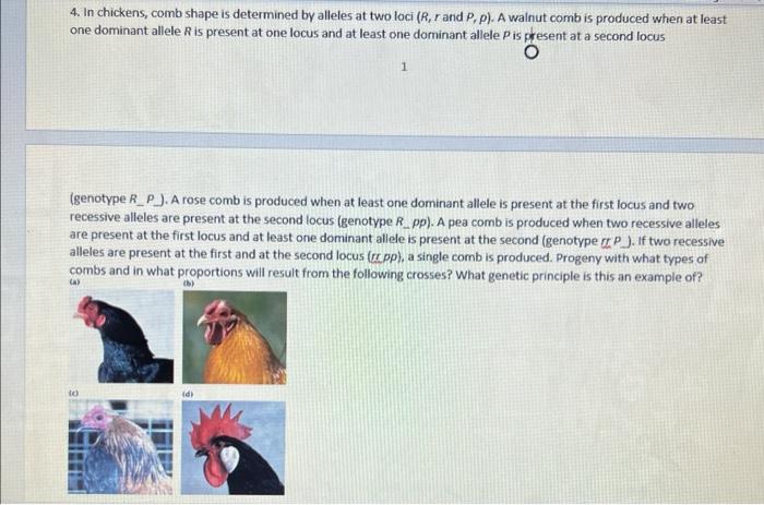 Solved 4. In chickens, comb shape is determined by alleles | Chegg.com