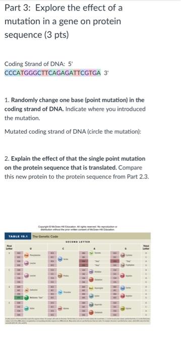 Solved Part 1: Transcribe a small fragment of DNA (3 pts) | Chegg.com