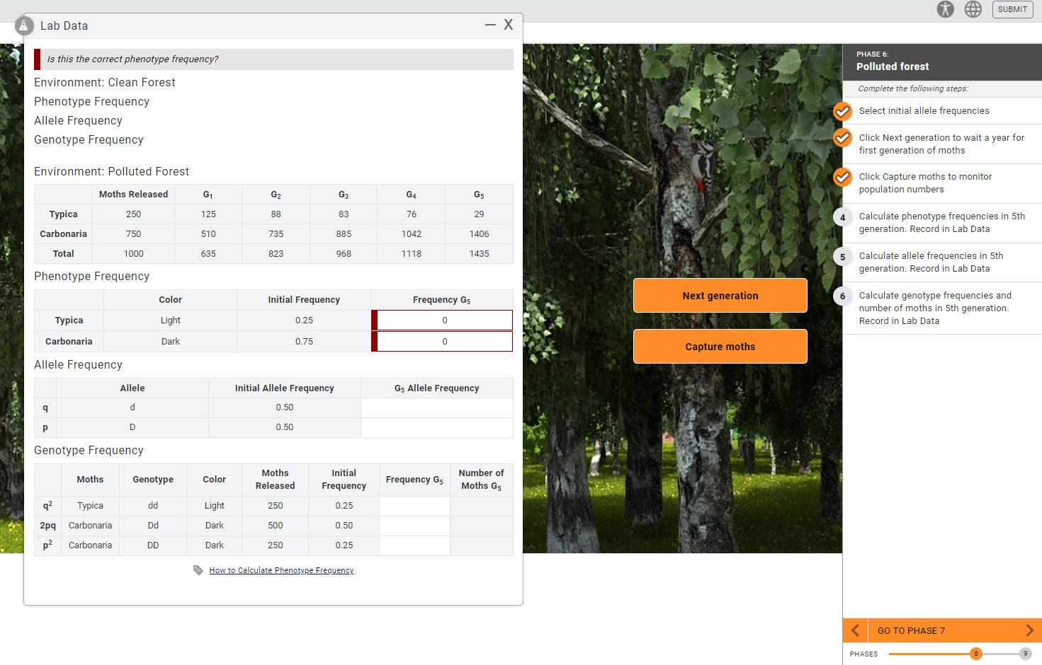 Solved Environment: Clean ForestPhenotype FrequencyAllele | Chegg.com