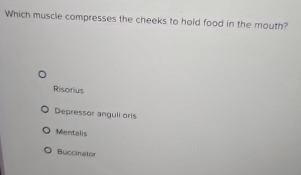 Solved Which muscle compresses the cheeks to hold food in | Chegg.com