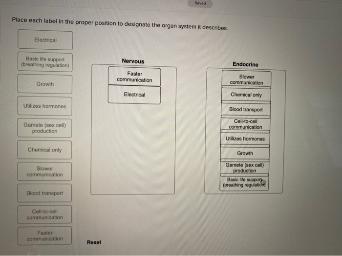 Solved Saved Place each label in the proper position to | Chegg.com