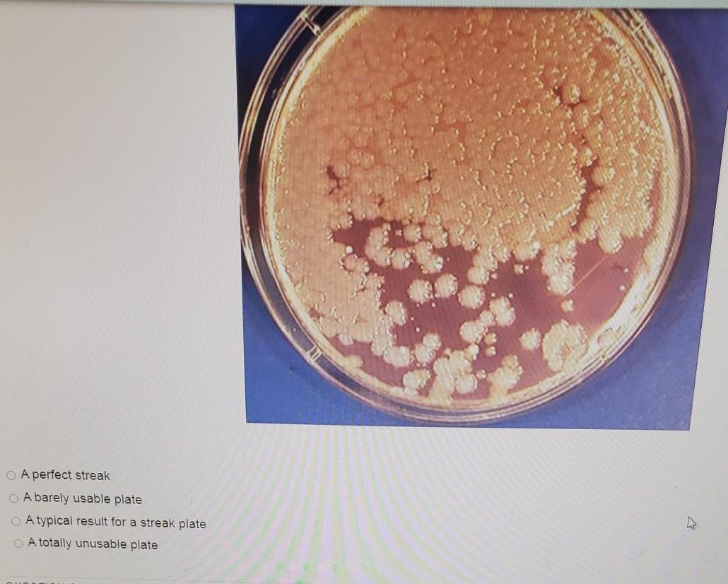 Solved A perfect streak O A barely usable plate A typical | Chegg.com
