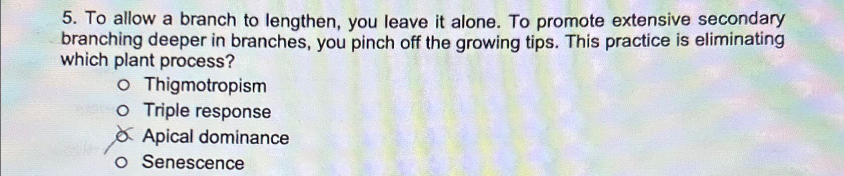 Solved To allow a branch to lengthen, you leave it alone. To | Chegg.com