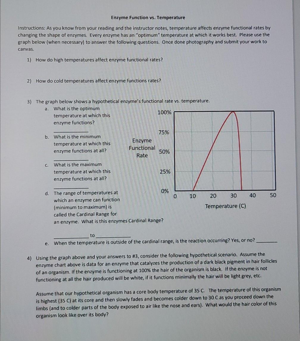 Solved Enzyme Function vs. Temperature Instructions: As you | Chegg.com