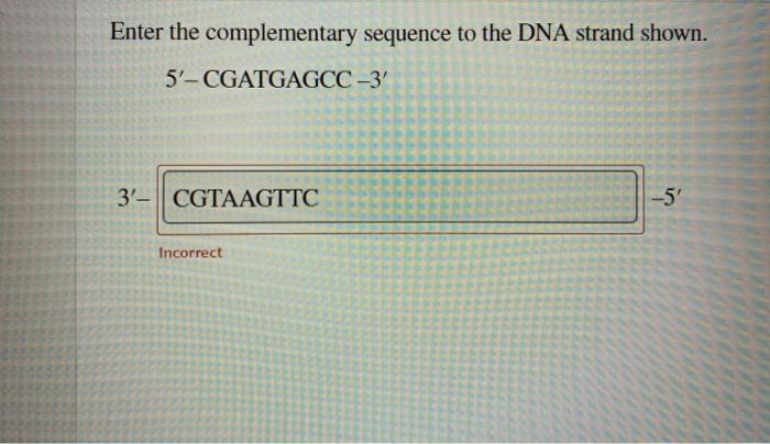 Solved Enter the complementary sequence to the DNA strand | Chegg.com