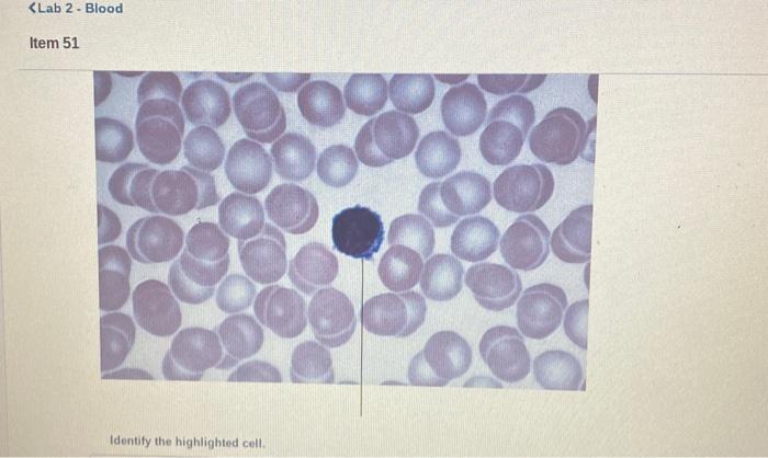 Solved Identify the highlighted cell. | Chegg.com