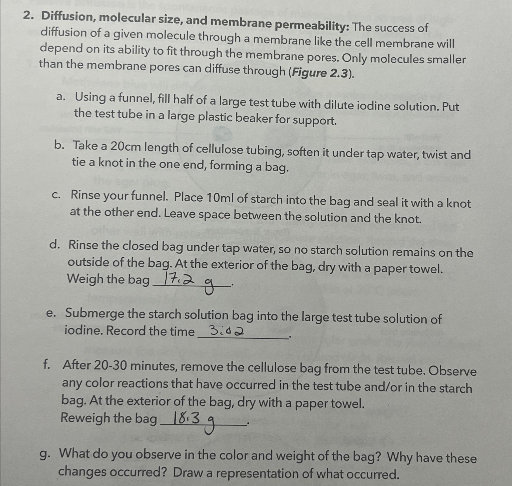 Solved Diffusion, molecular size, and membrane permeability: | Chegg.com