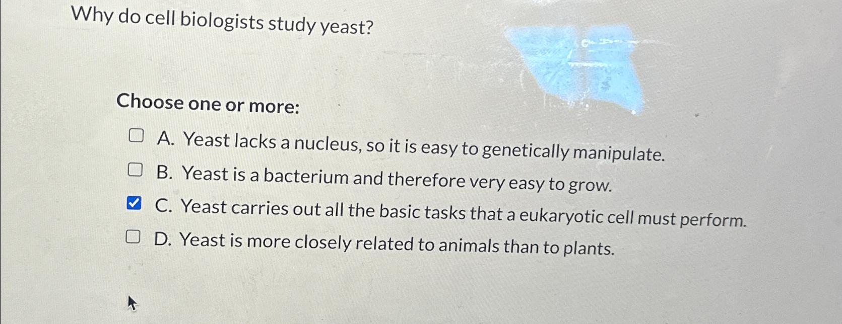 Solved Why do cell biologists study yeast?Choose one or | Chegg.com
