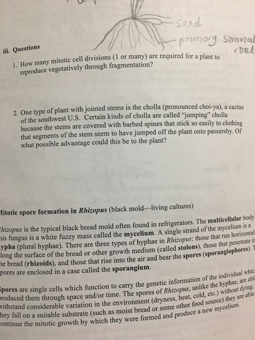 Solved Serd iii. Questions frimag semnal roet 1. How many | Chegg.com
