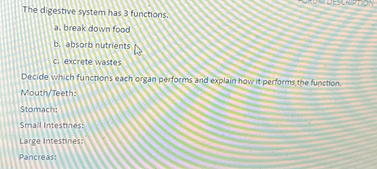 Solved The digestive system has 3 ﻿functions.a. ﻿break down | Chegg.com