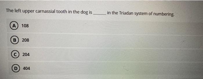 Solved The left upper carnassial tooth in the dog is in the | Chegg.com