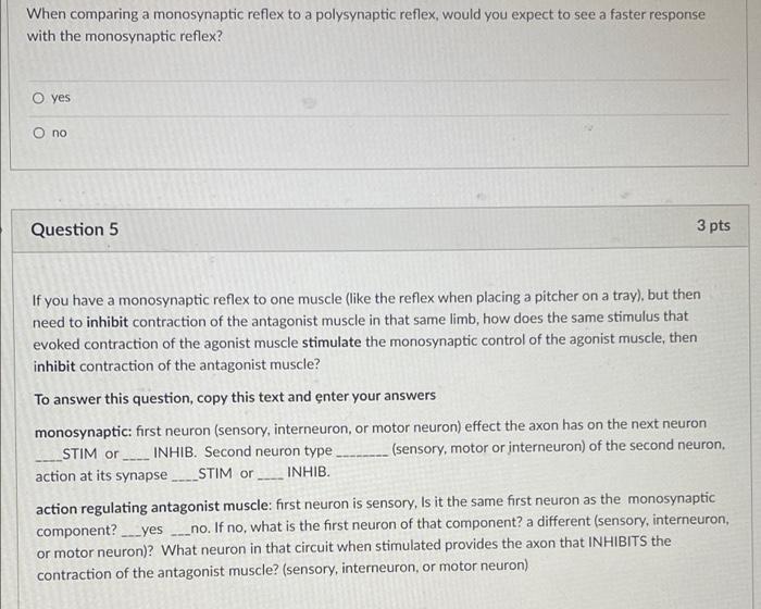 Solved When comparing a monosynaptic reflex to a | Chegg.com