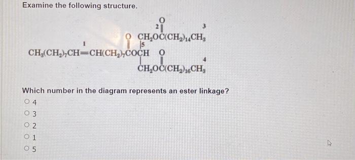 Solved Examine the following structure. Which number in the | Chegg.com