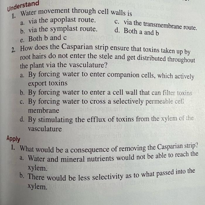 Solved Understand c. via the transmembrane route. d. Both a | Chegg.com
