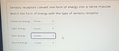 Solved Sensory receptors convert one form of energy into a | Chegg.com