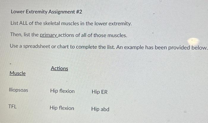 Solved Lower Extremity Assignment \#2 List ALL of the | Chegg.com