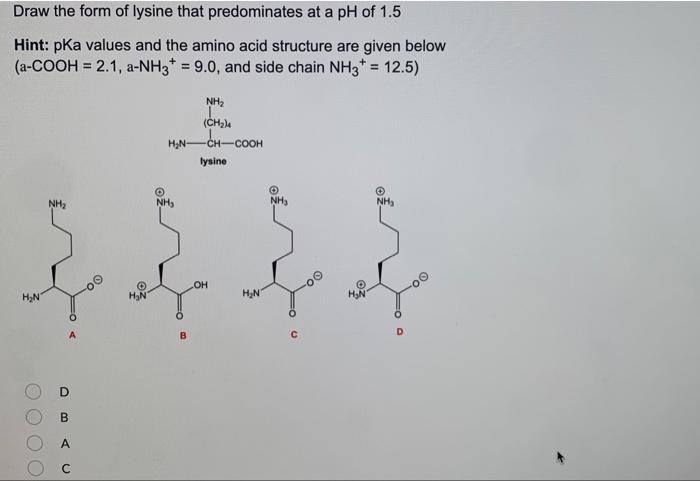 Solved Draw the form of lysine that predominates at a pH of | Chegg.com