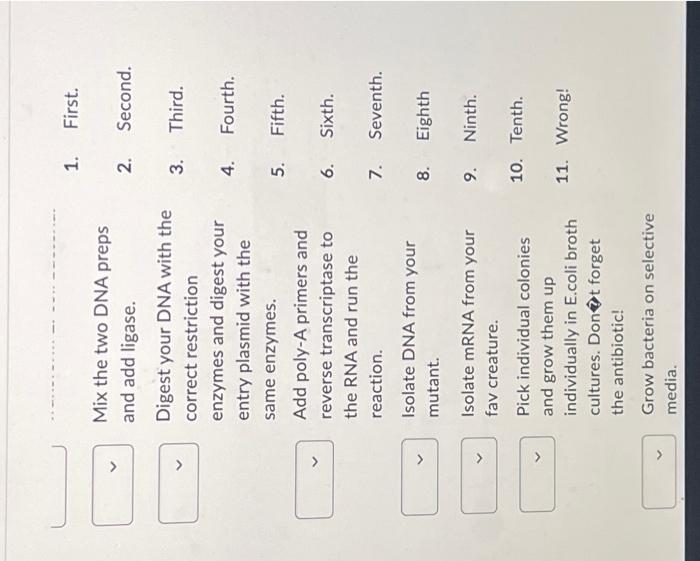 Solved Matching. Which statements match cloning a mutant | Chegg.com
