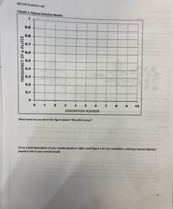 can you please do the graph with the data i provided. | Chegg.com
