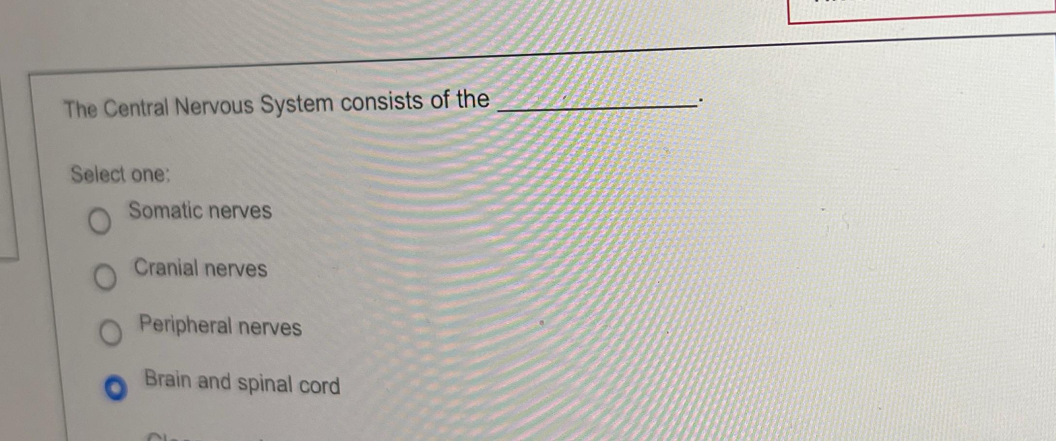 Solved The Central Nervous System consists of theSelect | Chegg.com