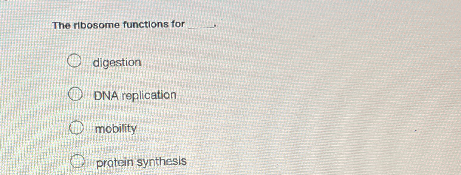 Solved The ribosome functions fordigestionDNA | Chegg.com