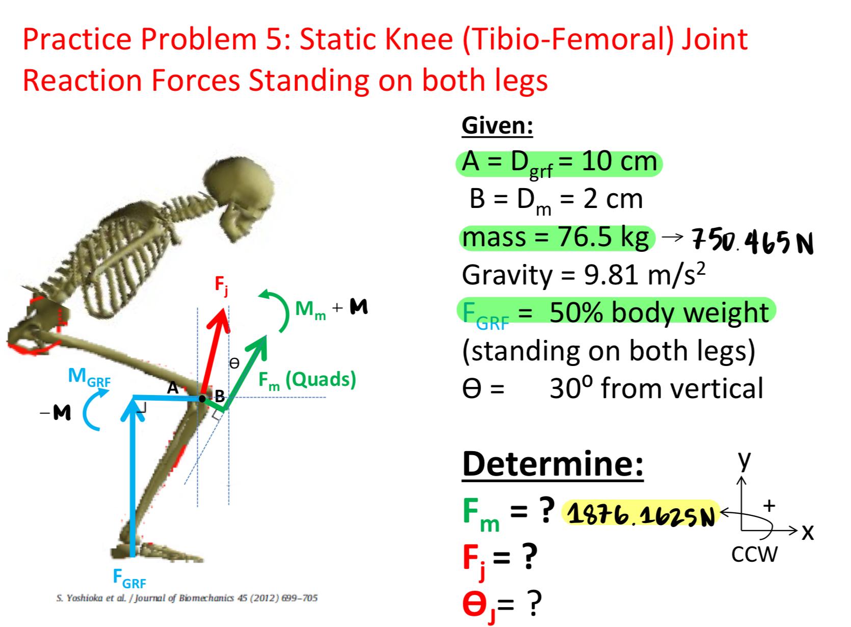 Solved Practice Problem 5: Static Knee (Tibio-Femoral) | Chegg.com