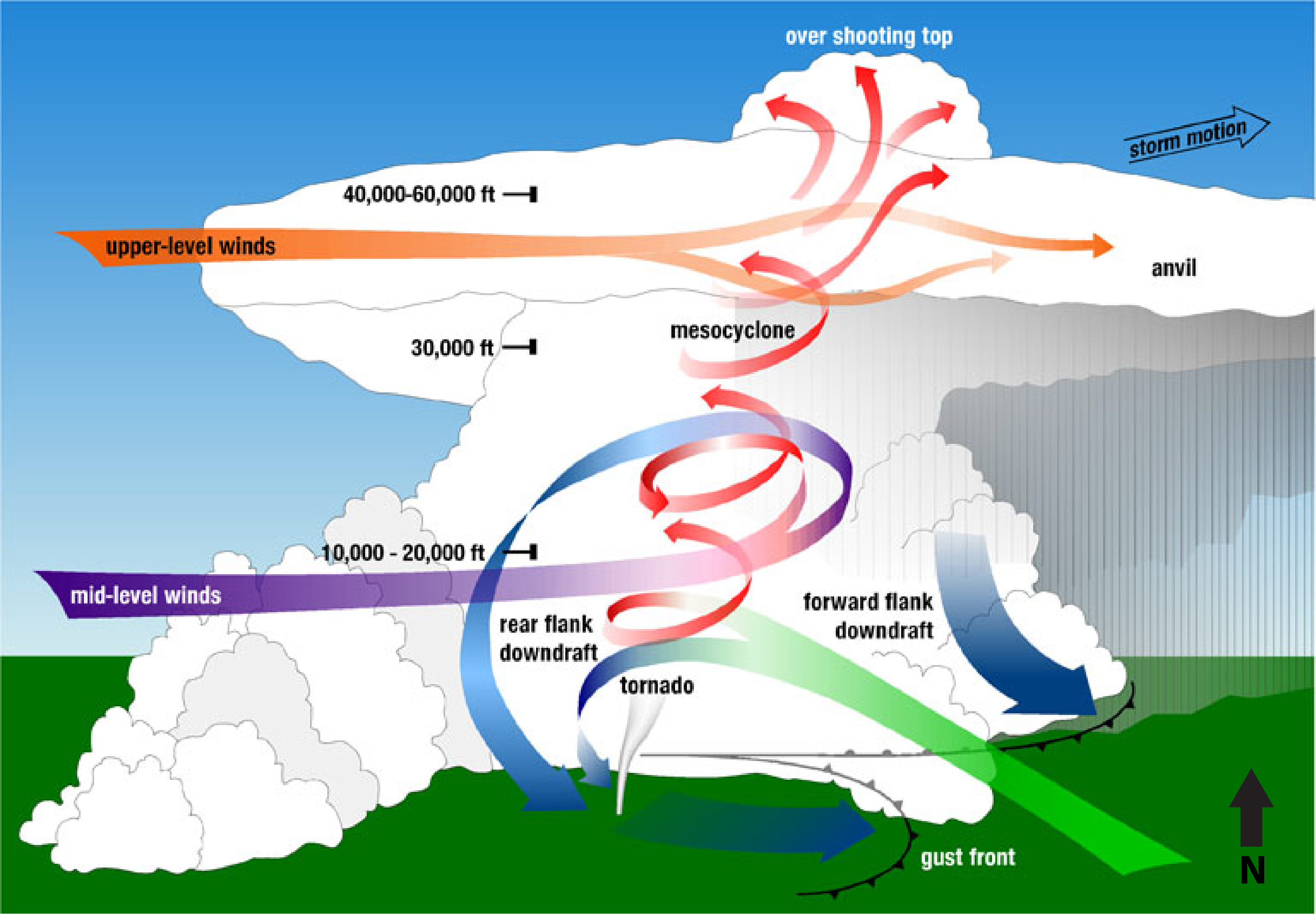 Solved the wind shear creates rotation about a horizontal | Chegg.com