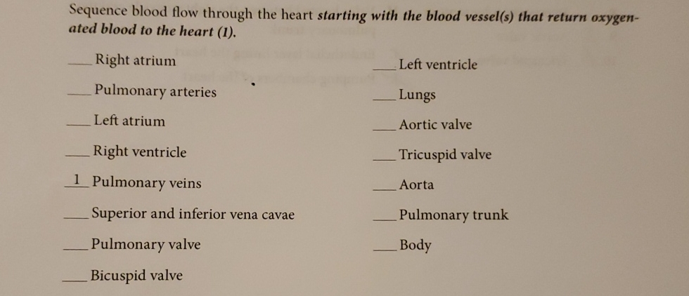 Solved Sequence blood flow through the heart starting with | Chegg.com