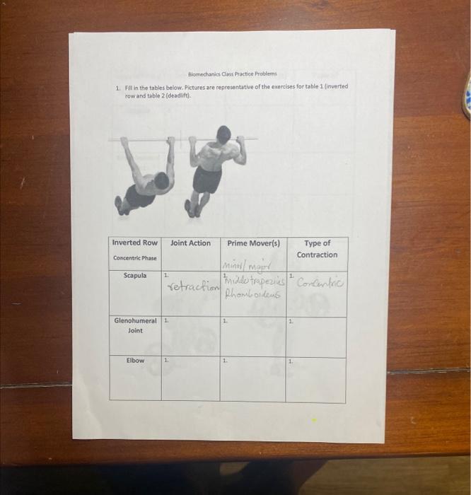 Solved Biomechanics Glass Practice Problems 1. Fill in the | Chegg.com