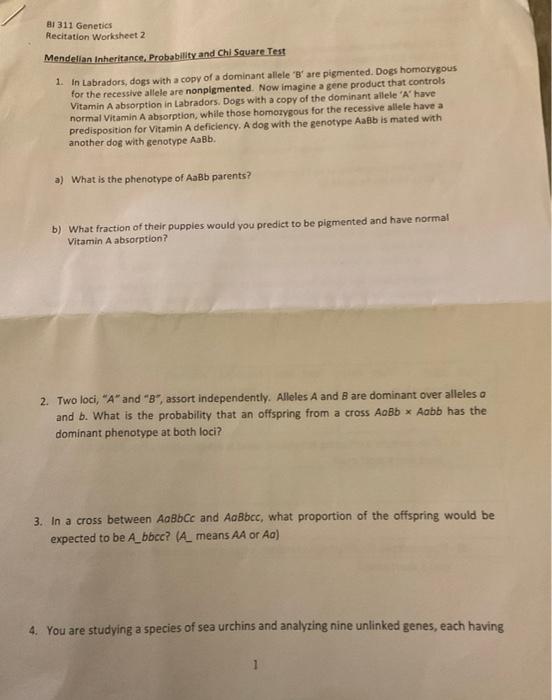Solved B1 311 Genetics Recitation Worksheet 2 Mendellan | Chegg.com
