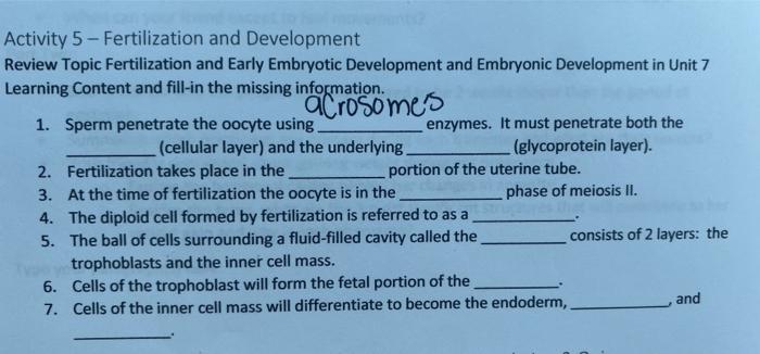 Solved Activity 5 - Fertilization and Development Review | Chegg.com