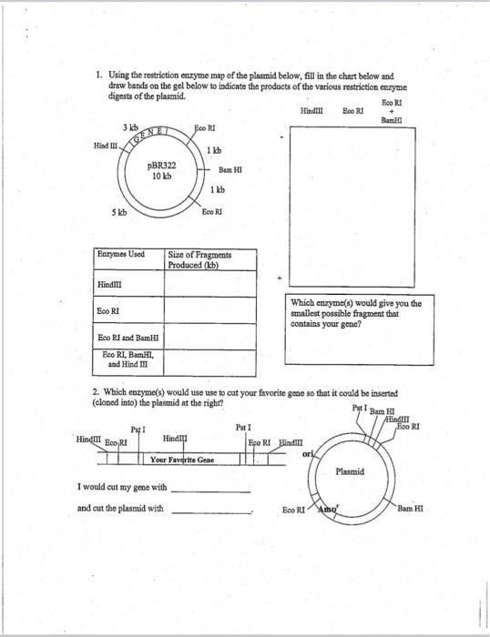 Solved 1. Using the restriction enzyme map of the plasmid | Chegg.com