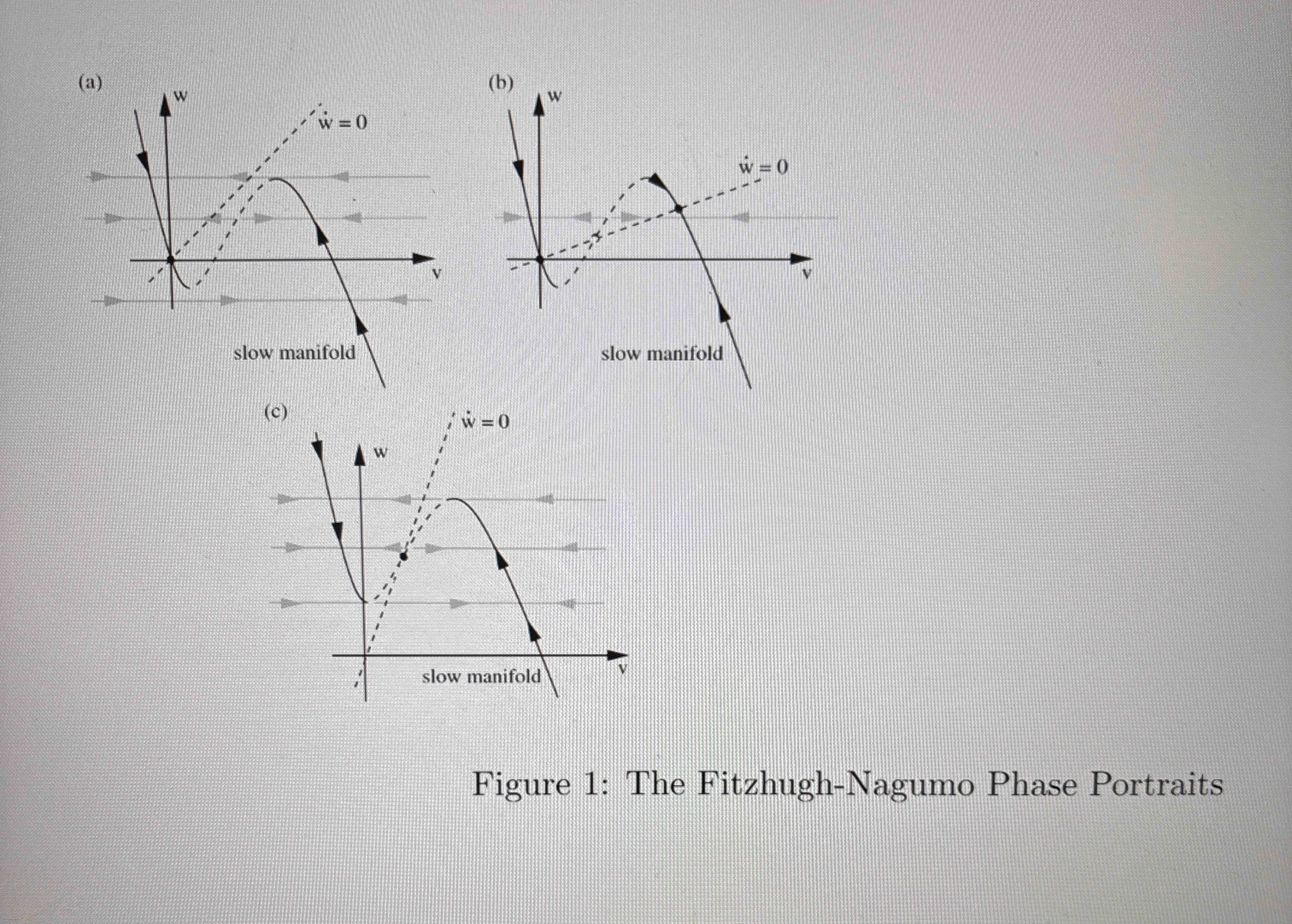 Solved Consider the following three phase portraits for the | Chegg.com