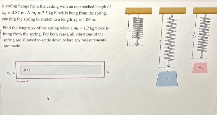 Solved A spring hangs from the ceiling with an unstretched | Chegg.com