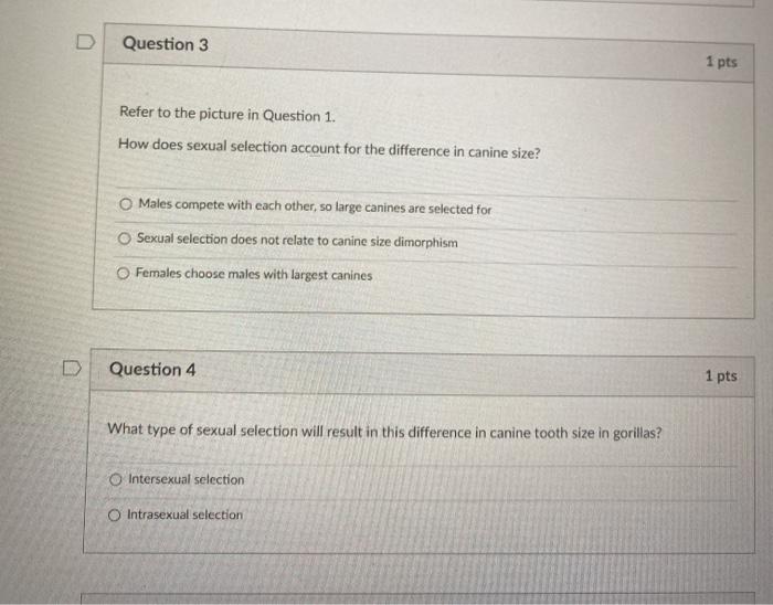 Question 1 1 pts Sexual Dimorphism Compare the male | Chegg.com