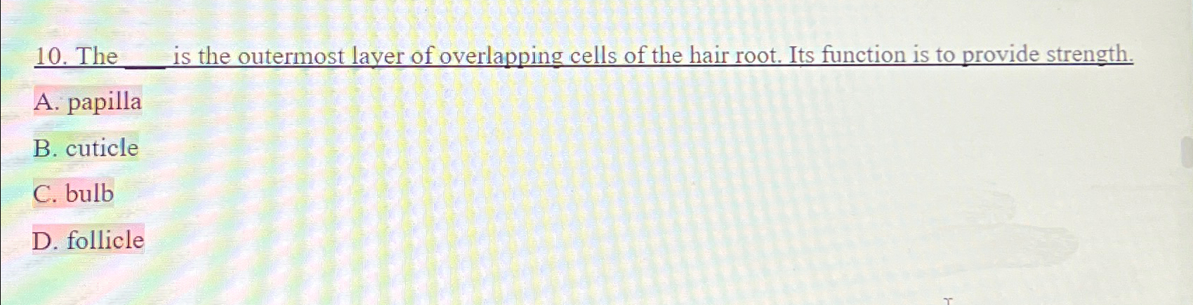 Solved The ___ ﻿is the outermost layer of overlapping cells | Chegg.com