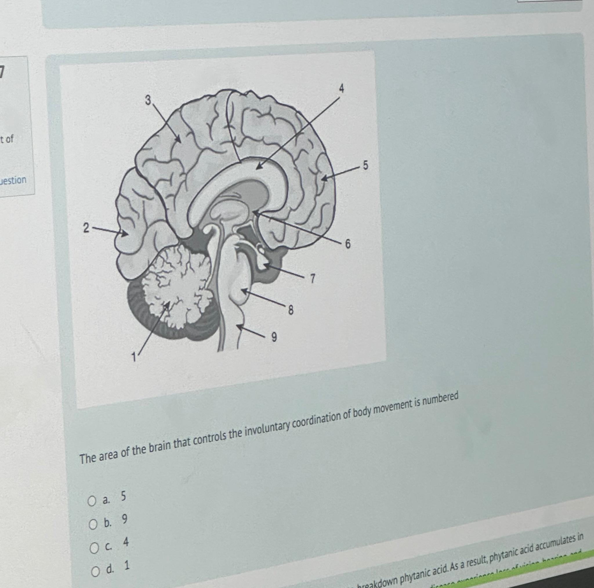 Solved The area of the brain that controls the involuntary | Chegg.com