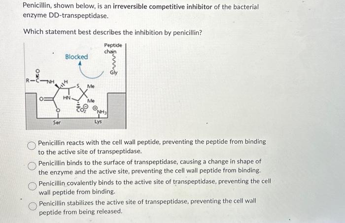 Solved Penicillin, shown below, is an irreversible | Chegg.com