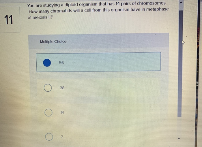 Solved You are studying a diploid organism that has 14 pairs | Chegg.com