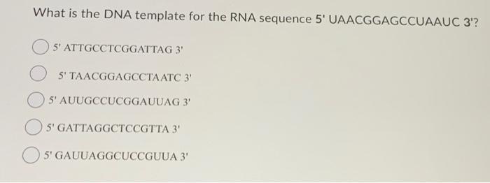 Solved What is the DNA template for the RNA sequence 5 ' | Chegg.com