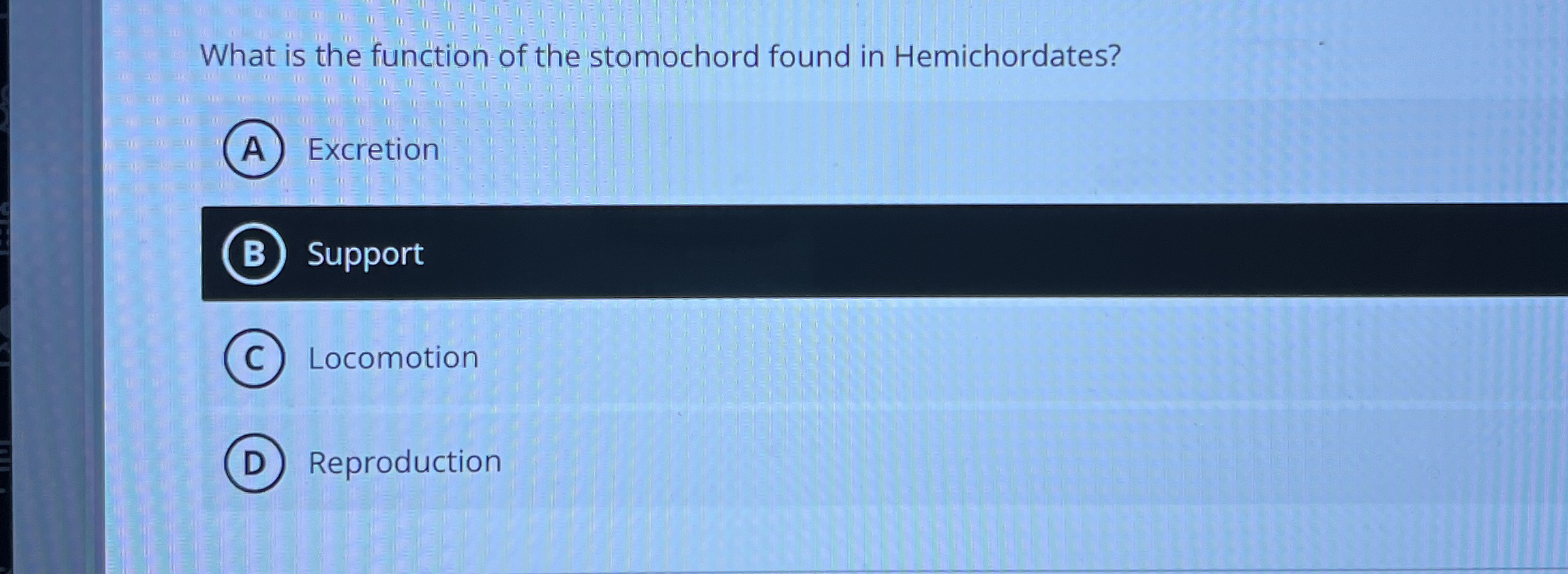 Solved What is the function of the stomochord found in | Chegg.com