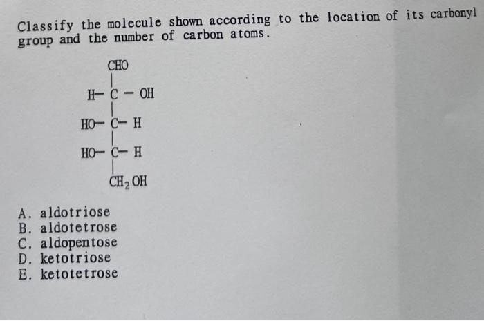 Solved Classify the molecule shown according to the location | Chegg.com