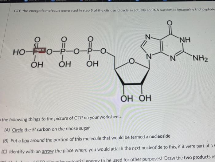 Solved GTP, the energetic molecule generated in step 5 of | Chegg.com