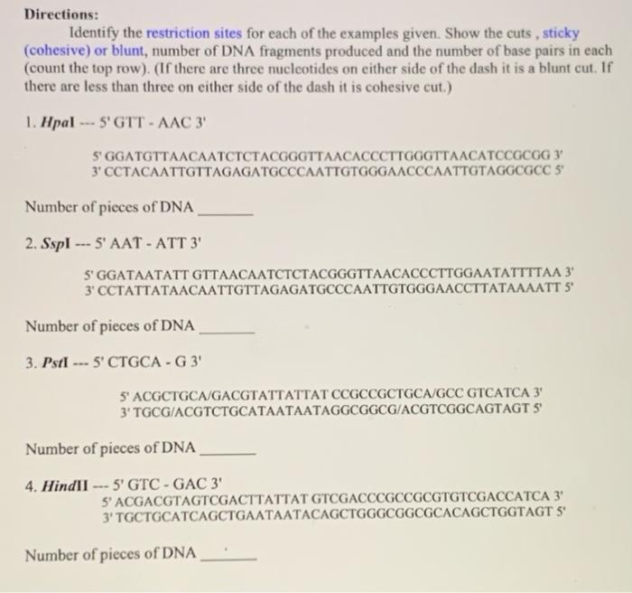 Solved Directions: Identify the restriction sites for each | Chegg.com