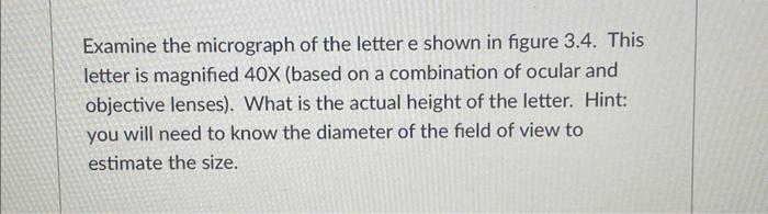 Solved Examine the micrograph of the letter e shown in | Chegg.com