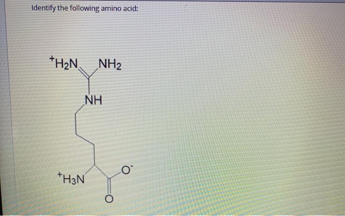 Solved Identify the following amino acid: *H2N NH2 NH 0 +H₃N | Chegg.com