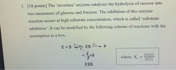Solved 1. [18 points) The 'invertase' enzyme catalyzes the | Chegg.com