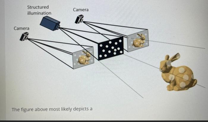 Solved The figure above most likely depicts a The figure | Chegg.com