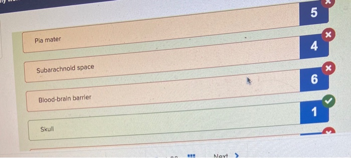 Solved order the following choices, from the outermost | Chegg.com